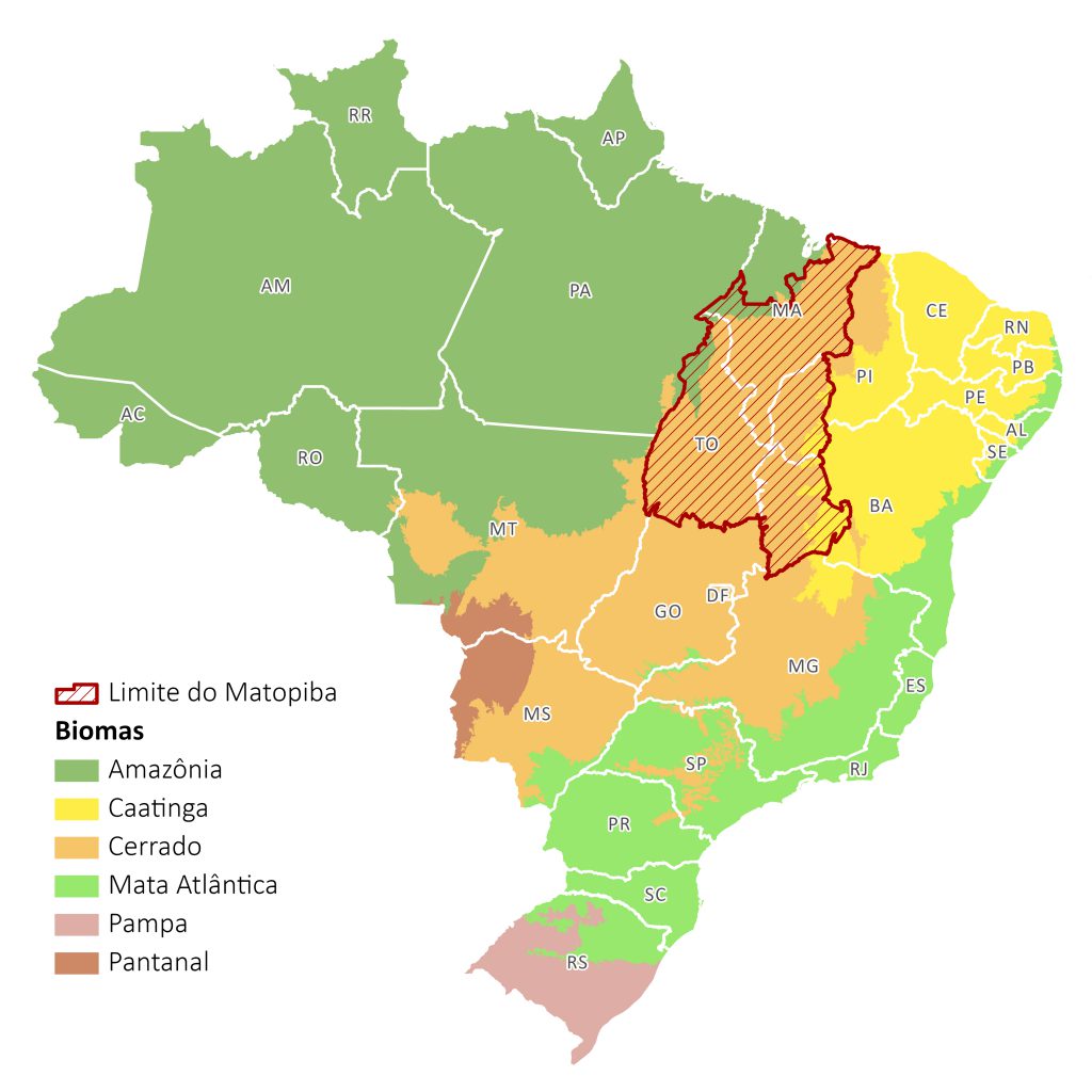 Mapa Biomas e Matopiba_site | Agroicone